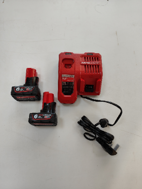 Milwaukee Stick Pump c/w 2 x 6AH Batteries & Charger | Vernon Morris